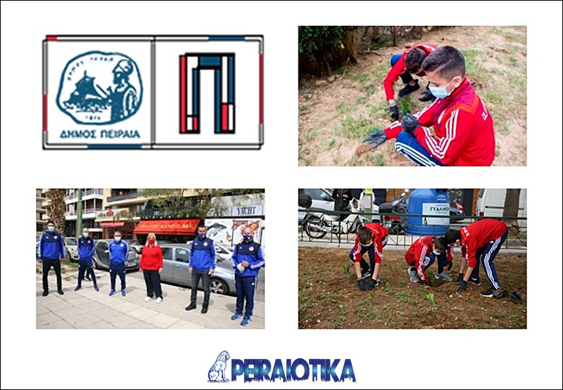 Δήμος Πειραιά : Δενδροφυτεύσεις στην παραλία της Φρεαττύδας και στη Ζέα ...