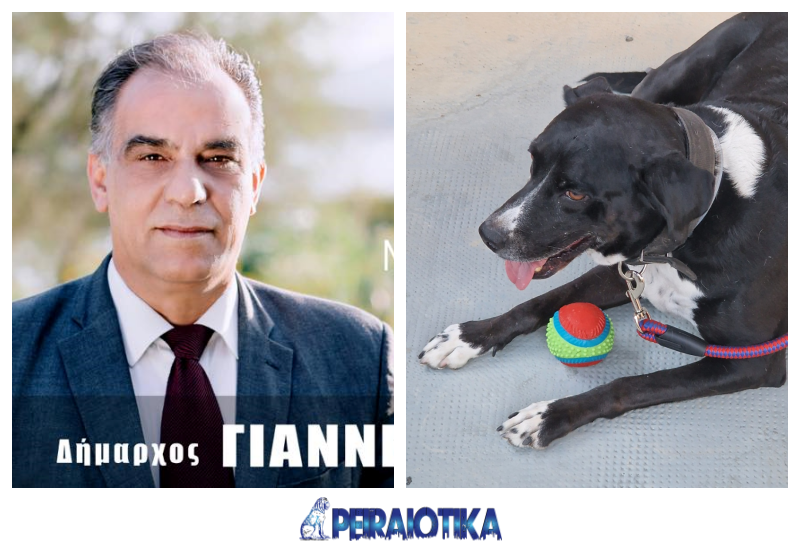 Γιάννης Λαγουδάκης “Η αγάπη για τα ζώα είναι σημάδι πολιτισμού ...